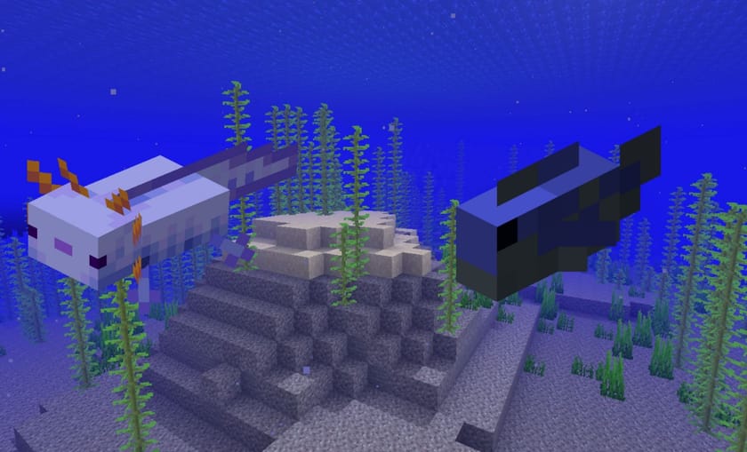 Top 5 aquatic mobs in Minecraft