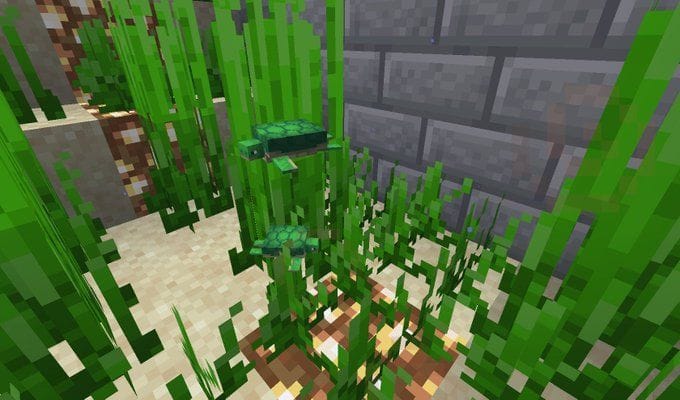 How to make Scute farms in Minecraft