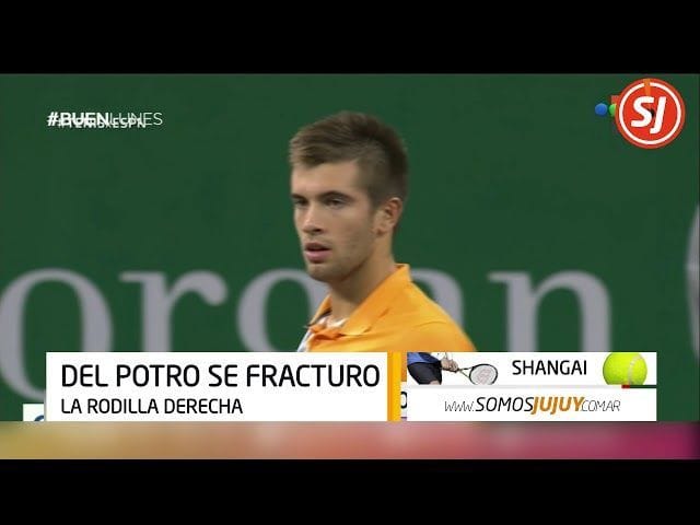 Juan Martin del Potro's injuries - Full history of the gentle giant's ...