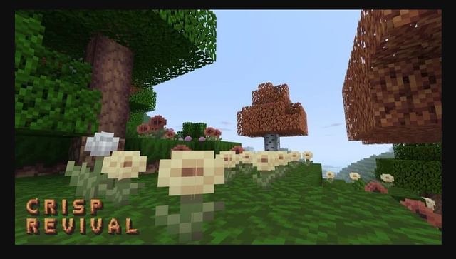 5 best Minecraft texture packs for building (2022)