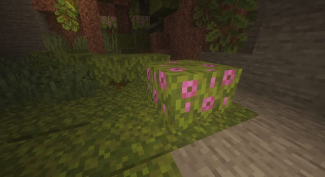 Top 5 types of flower farms in Minecraft