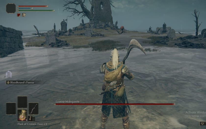How to defeat Leonine Misbegotten in Elden Ring