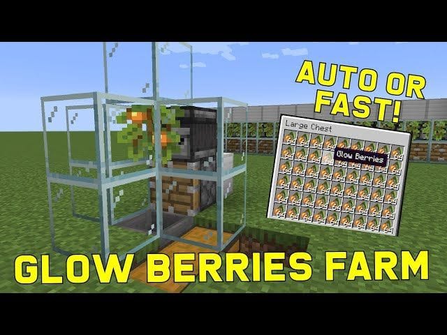 Easiest way to build a glow berry farm in Minecraft 1.18