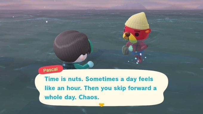 How does time work in Animal Crossing: New Horizons?