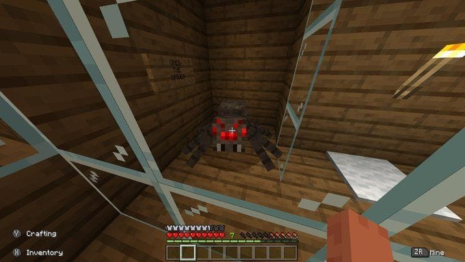 How to keep a spider in Minecraft
