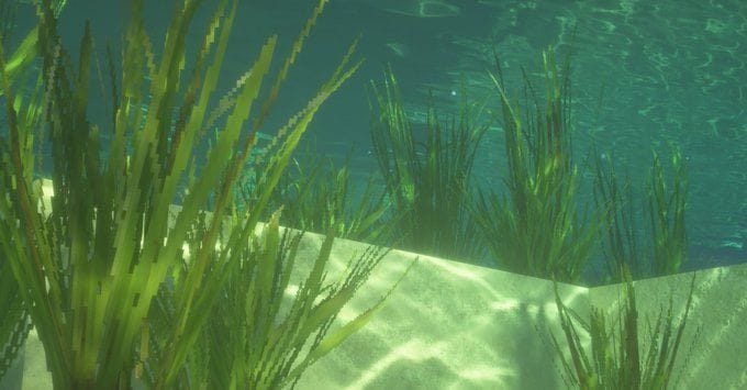 Coral Blocks in Minecraft: All you need to know about