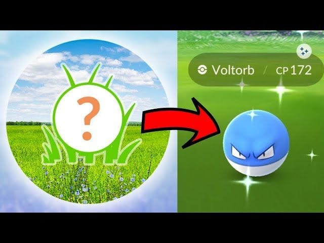 Voltorb's Spotlight Hour event guide for Pokemon GO