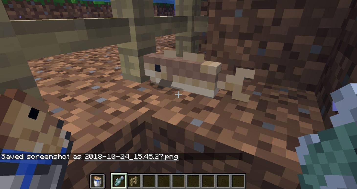 Top 3 rarest fishes in Minecraft