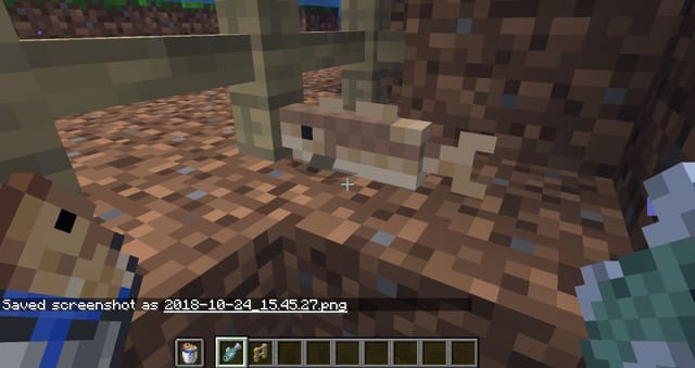 Top 3 rarest fishes in Minecraft