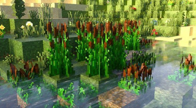 Mojang reveals new Minecraft Mangrove biome sneak peek
