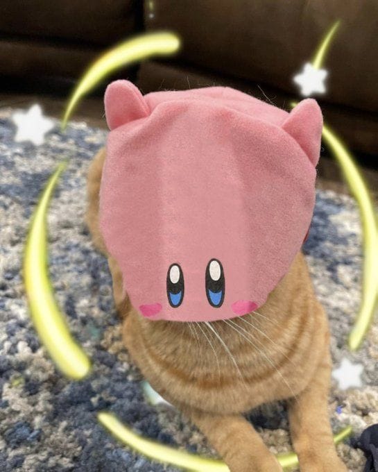 OTK's Jambo the cat parodies Pokimane's viral tweet