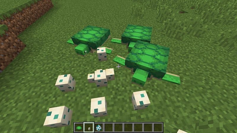 How to make Scute farms in Minecraft