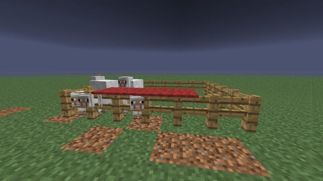 What are the uses of carpets in Minecraft?