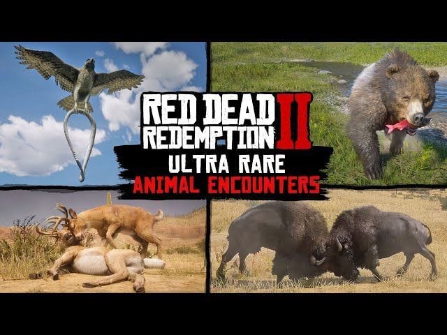 Why GTA 6 should introduce more animals to the game