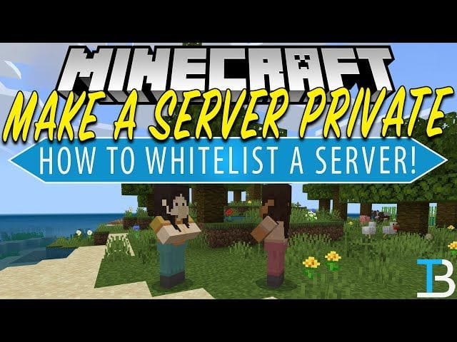 5 best whitelisted servers in Minecraft