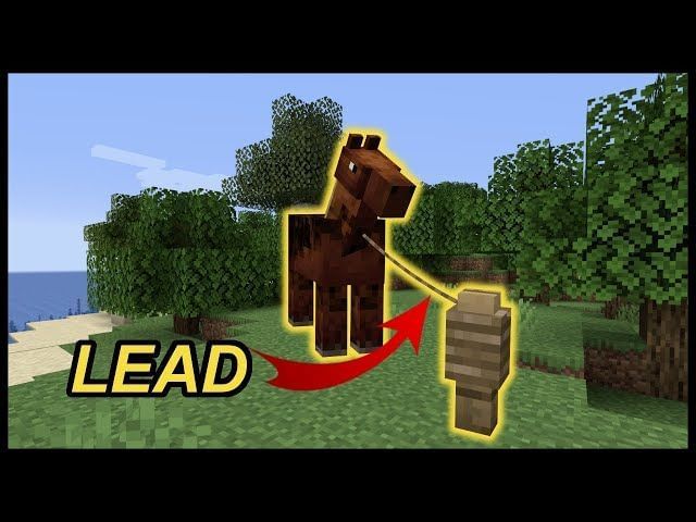 How To Make Lead In Minecraft
