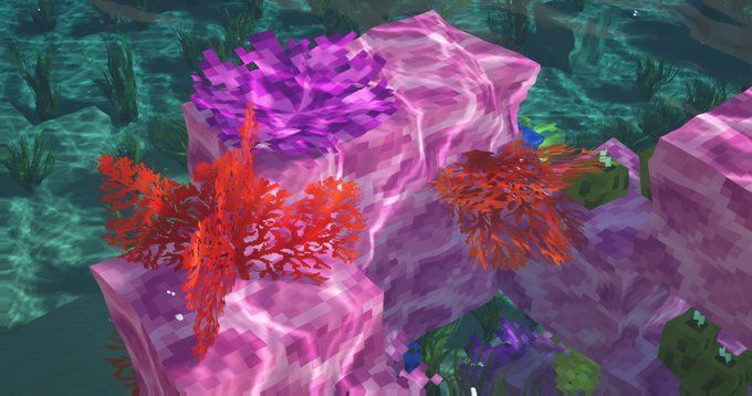 Coral Blocks in Minecraft: All you need to know about