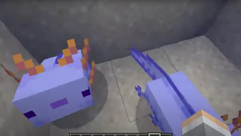 How to spawn a blue axolotl in Minecraft Bedrock Edition