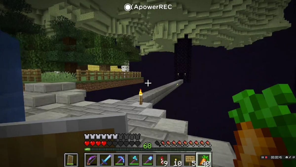 Minecraft Redditor builds a trophy room under the End