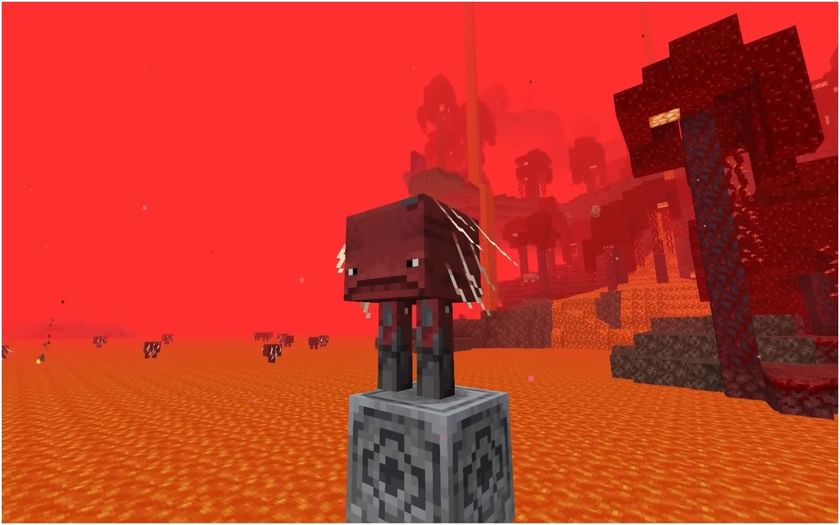 Top 3 uses of Striders in Minecraft