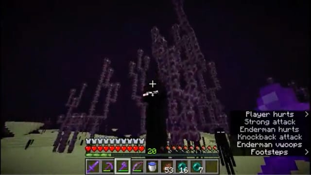Minecraft Redditor discovers Enderman's bug
