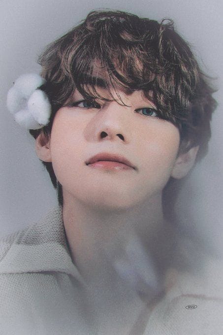 Plastic surgeons praise BTS' V for his symmetrical face and charming ...