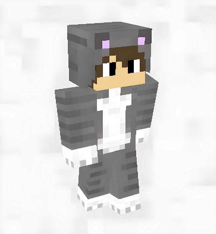 5 Best Minecraft Cat Skins To Use