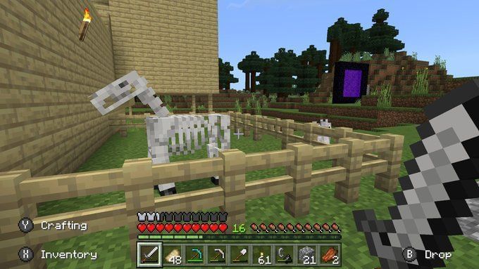 Top 5 rideable mobs in Minecraft
