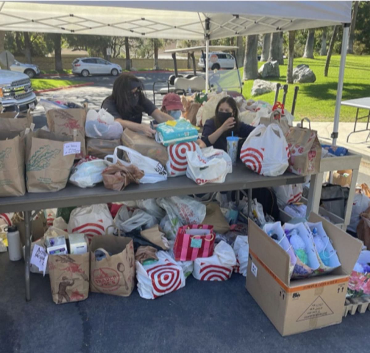 Dariana Alvarez on her efforts in putting an end to period poverty