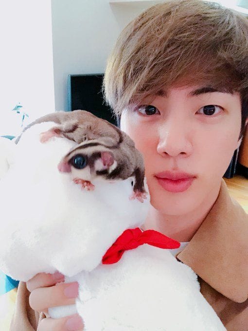 BTS members and their super adorable pets