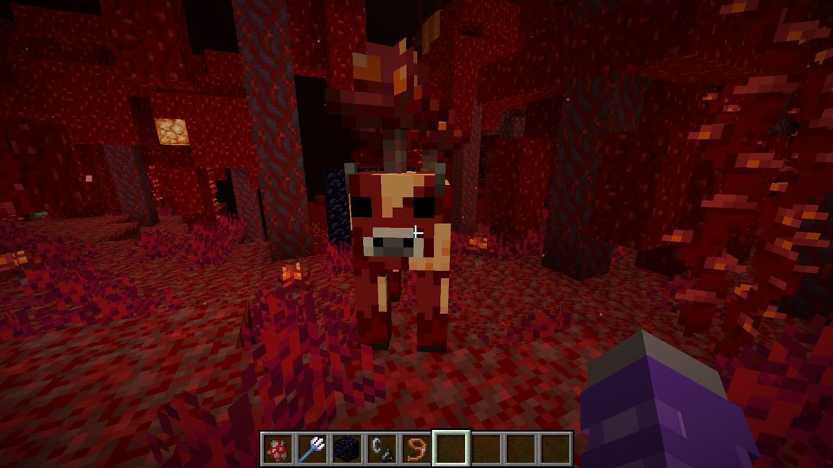 Minecraft Redditor creates a Warped and a Crimson texture for ...