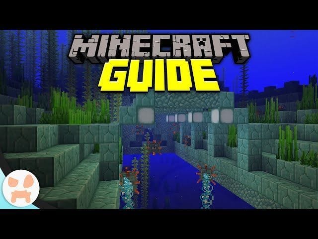 Top 5 seeds for seagrass in Minecraft