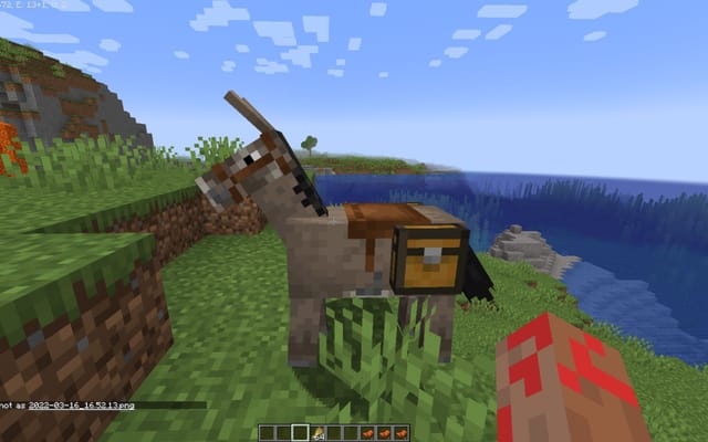 What do donkeys eat in Minecraft to breed?