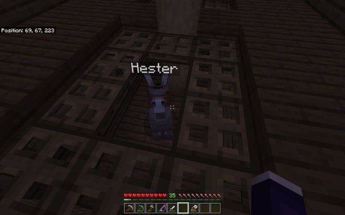 Top 5 rideable mobs in Minecraft