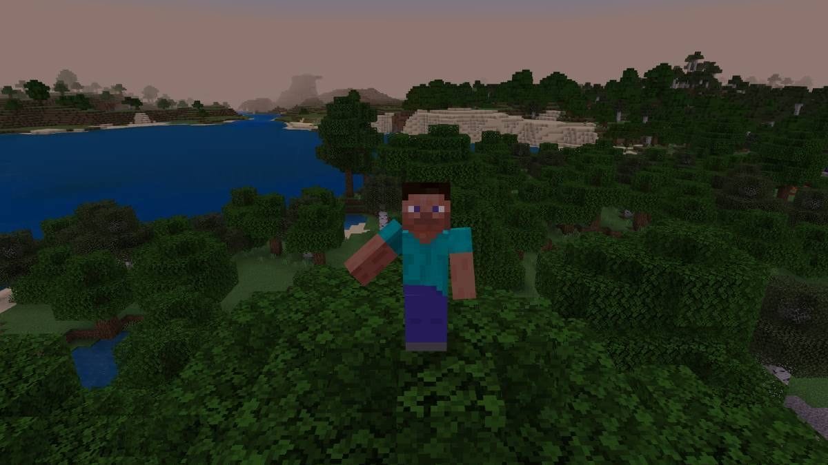 5 things players might not know about Steve in Minecraft