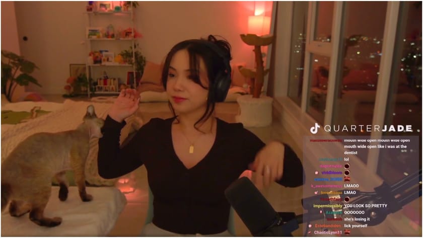 Streamer QuarterJade's cat won't stop biting her