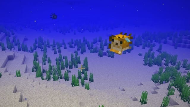 5 things players don't know about pufferfish in Minecraft