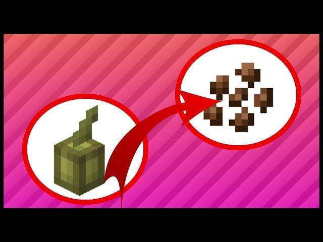 Cocoa Beans in Minecraft: Everything you need to know