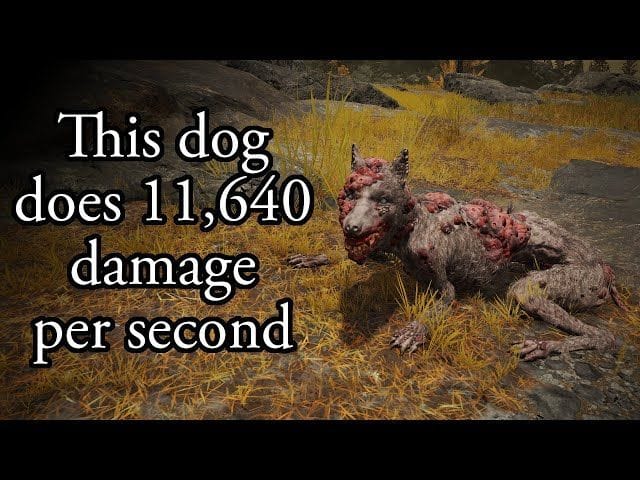 Soulsborne dataminer shows how overtuned bleed dogs are in Elden Ring ...
