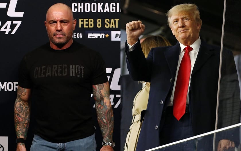 UFC News: Joe Rogan confirms that Donald Trump will not be appearing on ...