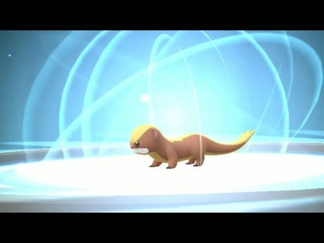 How to catch Yungoos in Pokemon GO