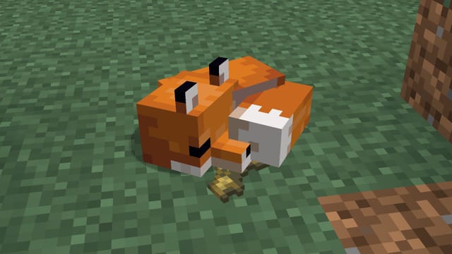 Top 4 things players probably didn't know about wheat in Minecraft