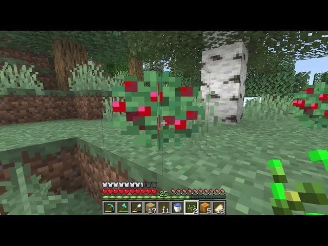 Top 5 uses of sweet berries in Minecraft
