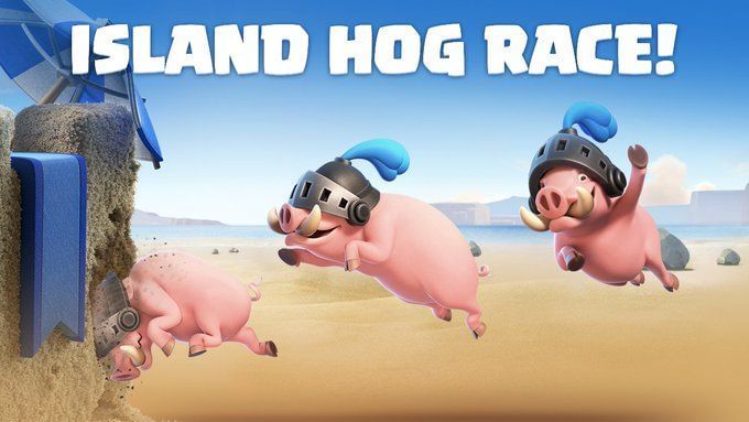 How to use Royal Hogs in Clash Royale?