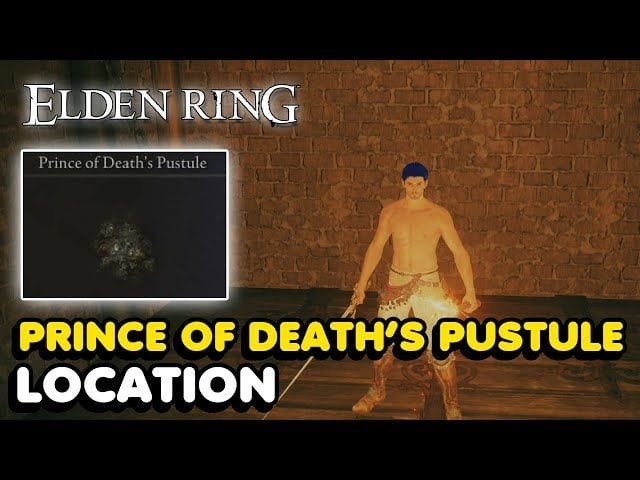 What does Vitality do in Elden Ring?