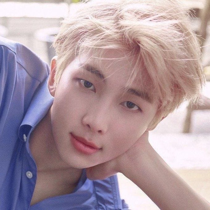 Who are BTS members' role models?