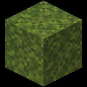 Where to find moss blocks in Minecraft