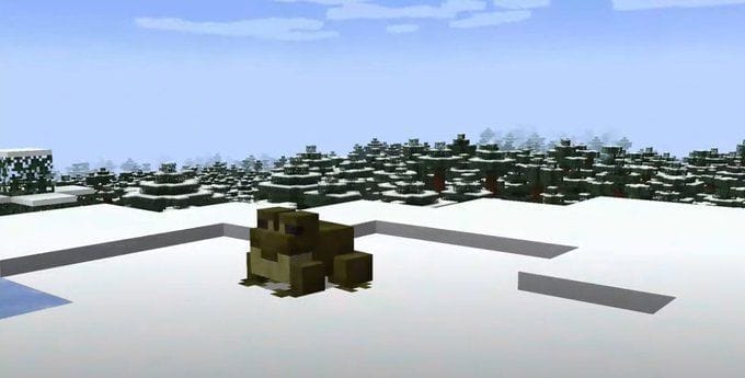 4 things players might not know about Frogs in Minecraft