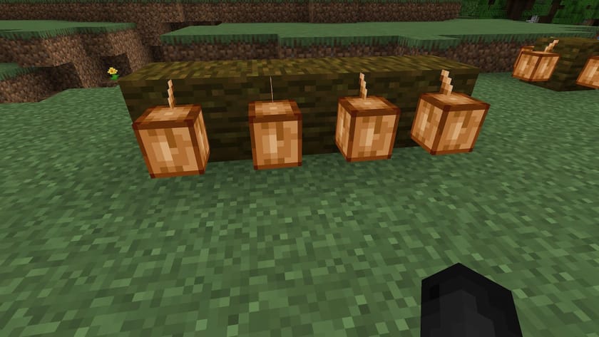 How to make a cocoa bean farm in Minecraft