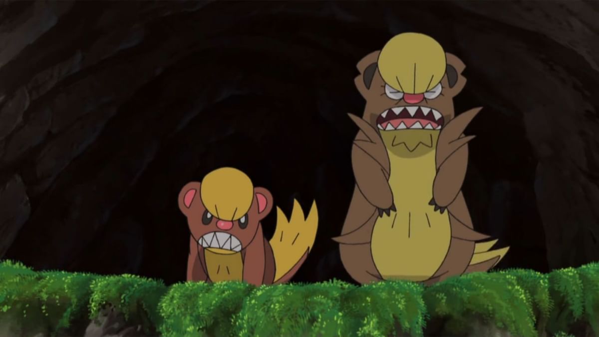 How to catch Yungoos in Pokemon GO